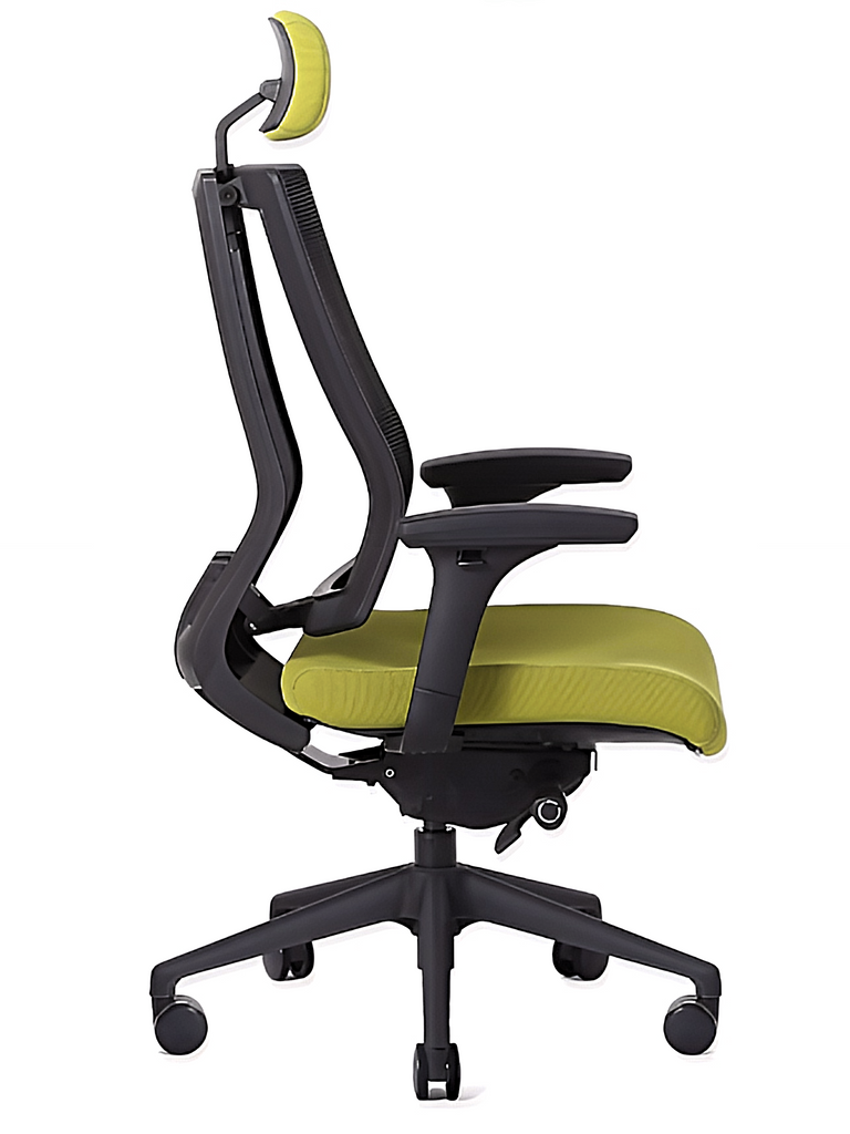 Promax high back revolving chair - buy chairs online - multiwood